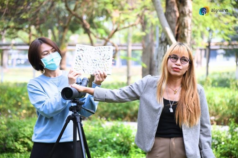 ดูนก – Sireepark